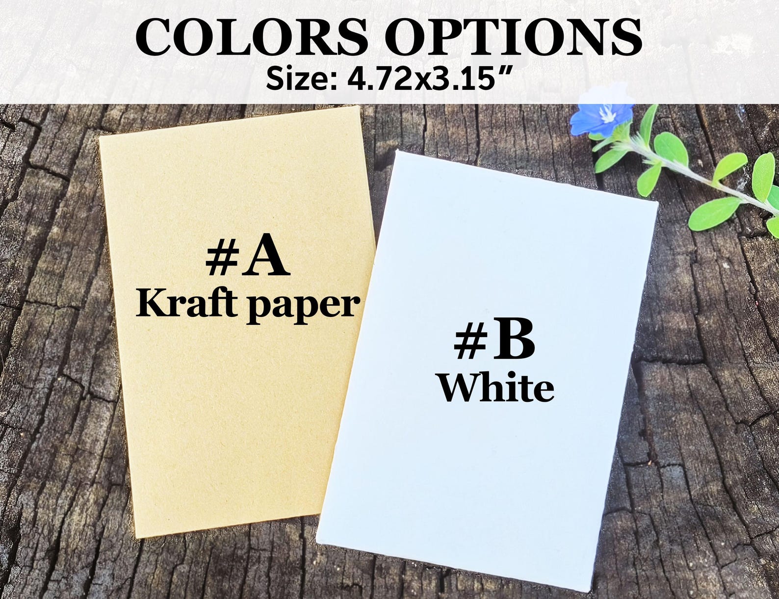 Personalized Wedding Wildflower Seed Packets Bridal Shower Seed Packets ...