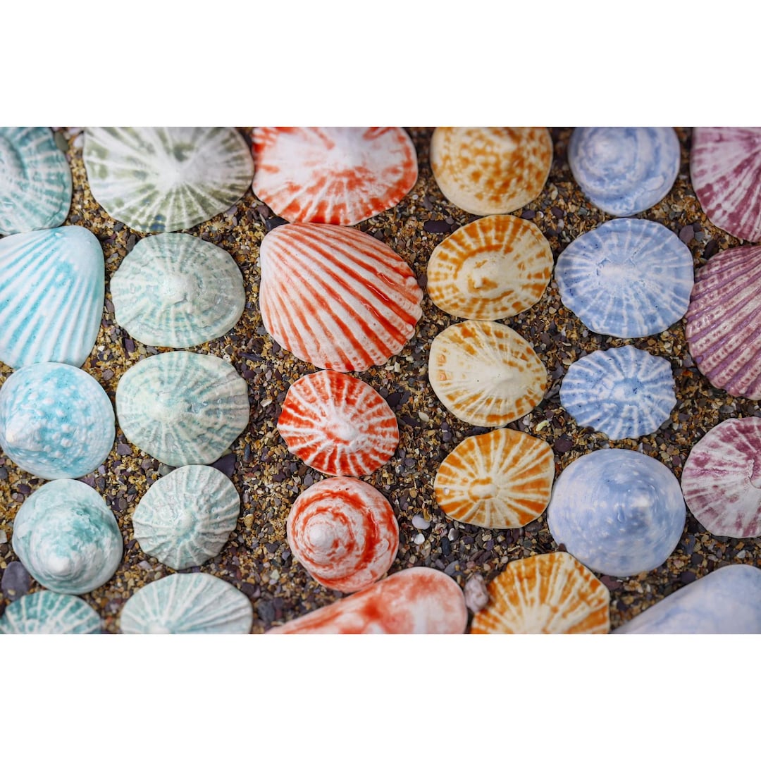 Ceramic Pottery Shells X 5 | Handmade Coastal Home Décor | Eco-friendly ...