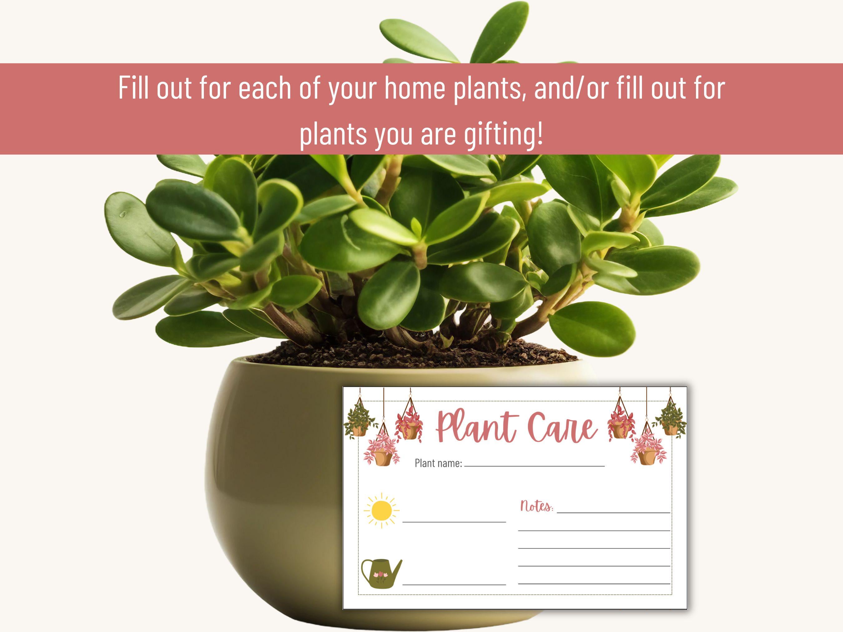 Plant Care Cards, Printable Household Plant Care Cards, Plant Care Tags ...