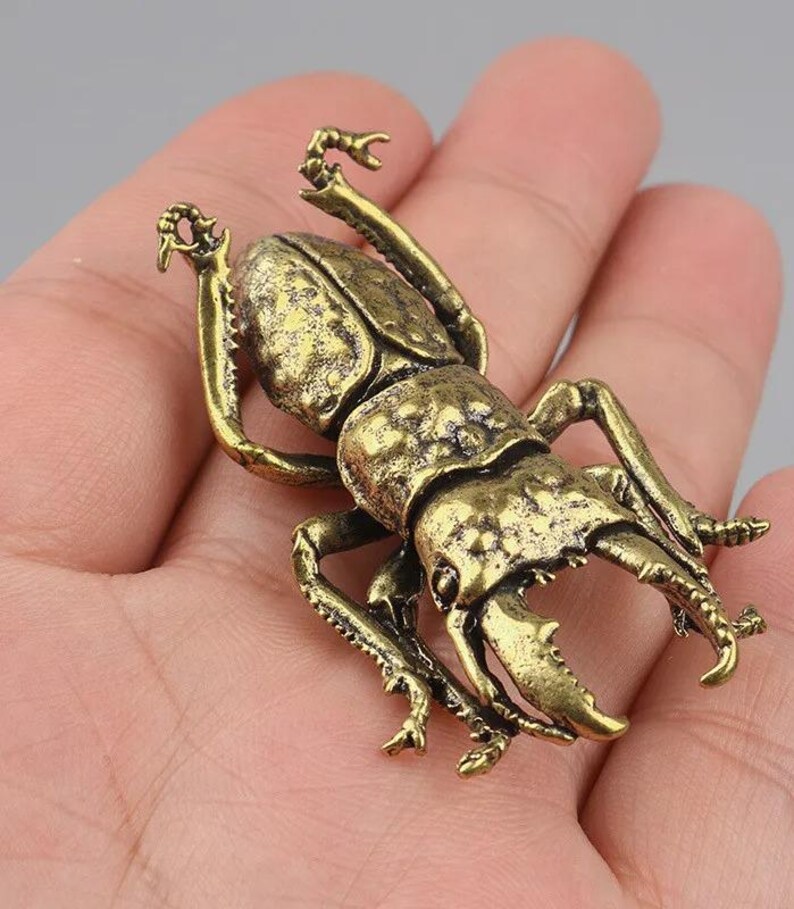 Handmade Brass Beetle Sculpture Set: Copper Insect Tea Pets - Etsy