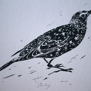 Starling Linocut Print, Bird Linocut Print, Wildlife Art Print, Starry ...