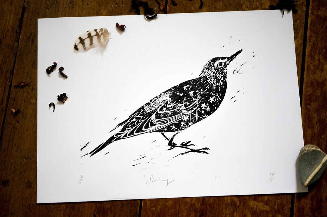 Starling Linocut Print, Bird Linocut Print, Wildlife Art Print, Starry ...