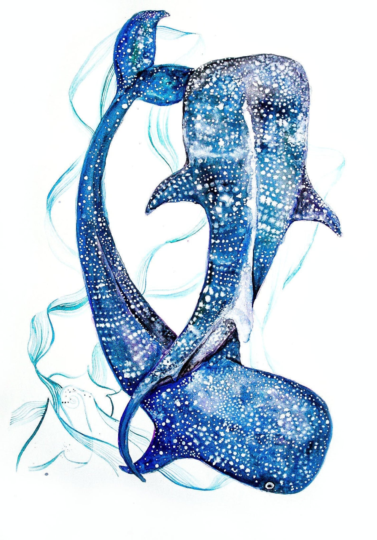 Whale Shark Art Print Watercolour Painting A4 Art Print - Etsy UK