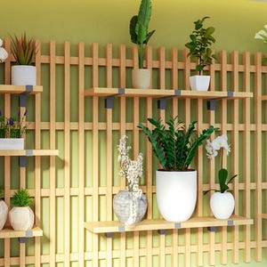 Modular Wall-mounted Shelf System | Customizable 3D Model (SKP + DWG ...