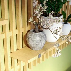 Modular Wall-mounted Shelf System | Customizable 3D Model (SKP + DWG ...