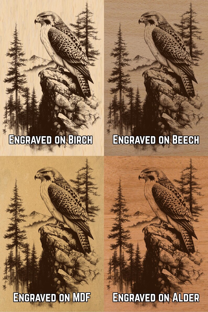 Hawk Laser Engraving File - Ready to Engrave PNG - Bird in the ...