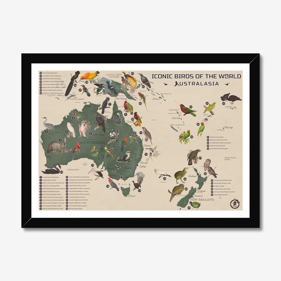 Iconic Birds of the World Australasia A3 Framed Print - Etsy