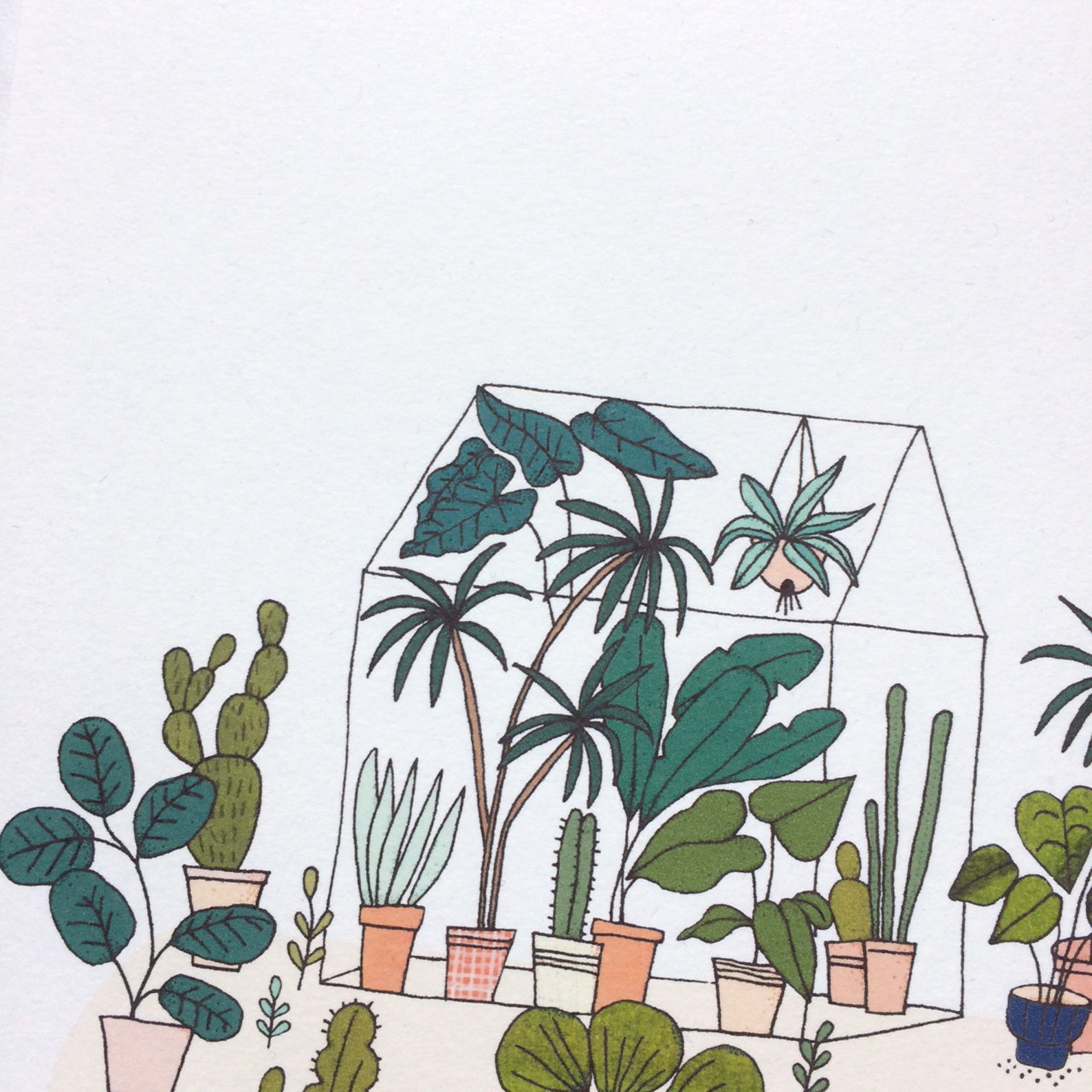 Greenhouse Poster A4, Illustration Cactus and Plants - Etsy