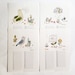 Perpetual Birthday Calendar, Birds, Botanical Illustrations - Etsy