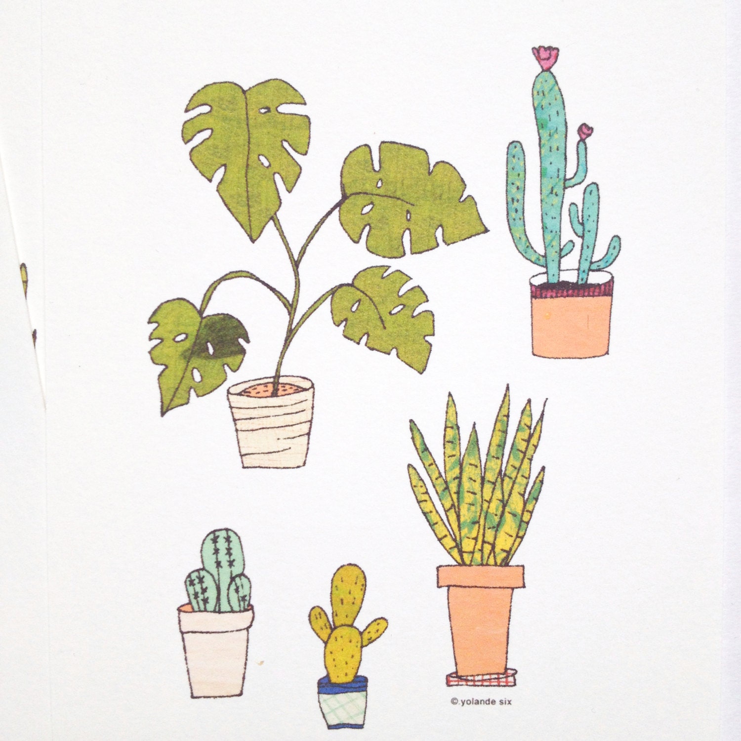 Plants cards set cactus monstera illustrations | Etsy