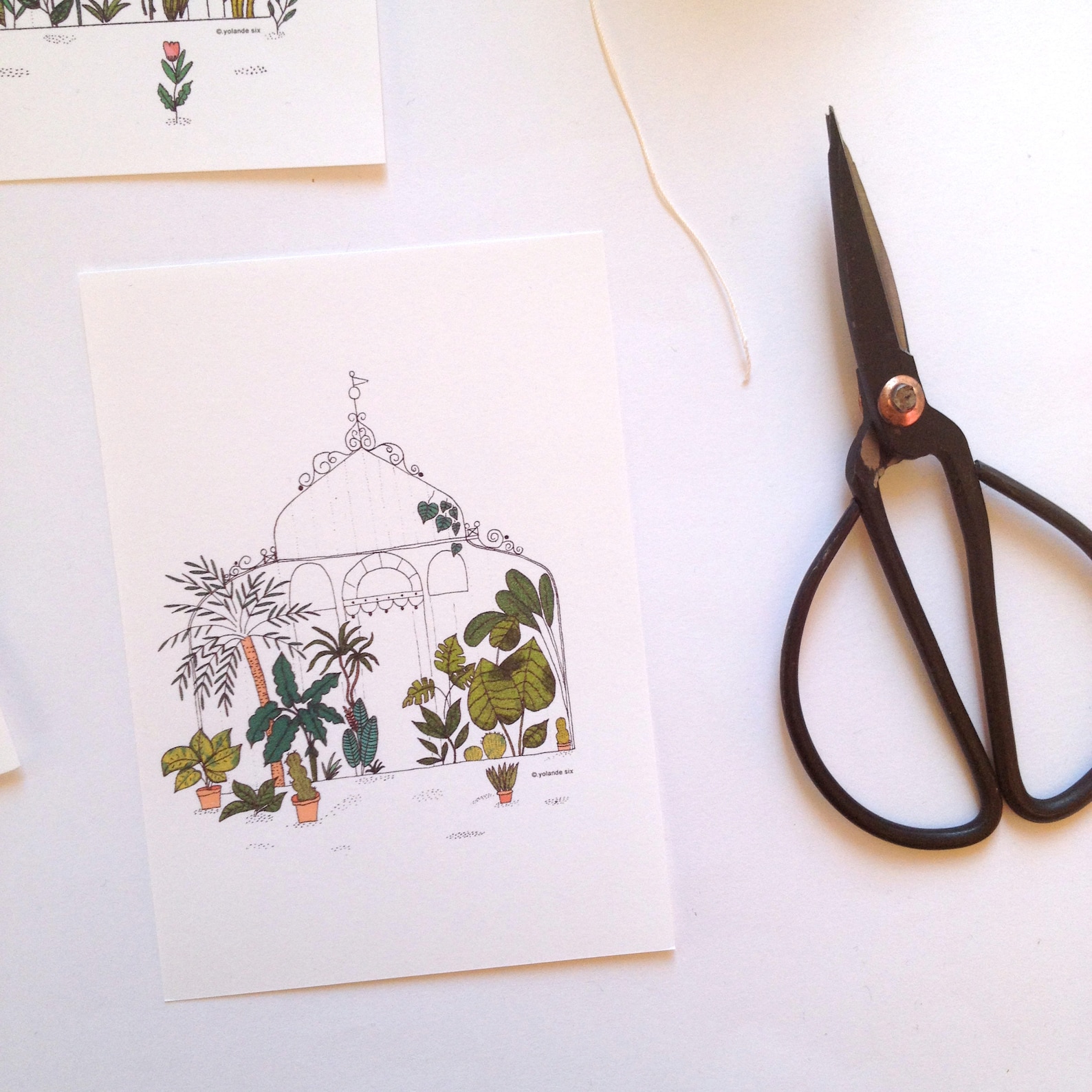 Botanical Cards Greenhouse 4 Cards Set - Etsy