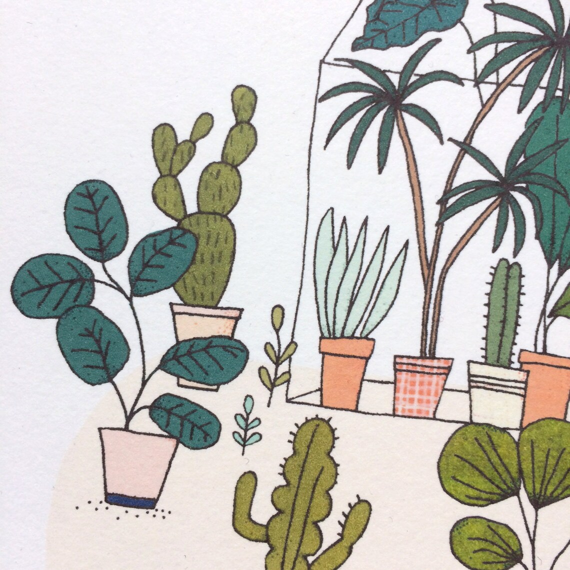Greenhouse Poster A4 Illustration Cactus and Plants | Etsy