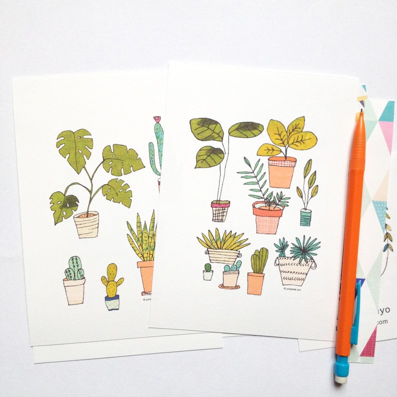 Plants cards set cactus monstera illustrations | Etsy
