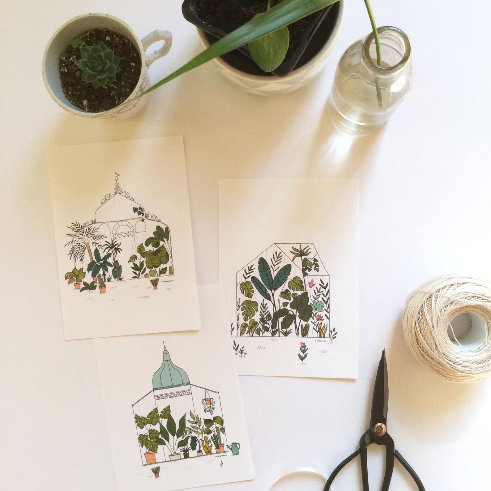 Botanical Cards Greenhouse 4 Cards Set - Etsy