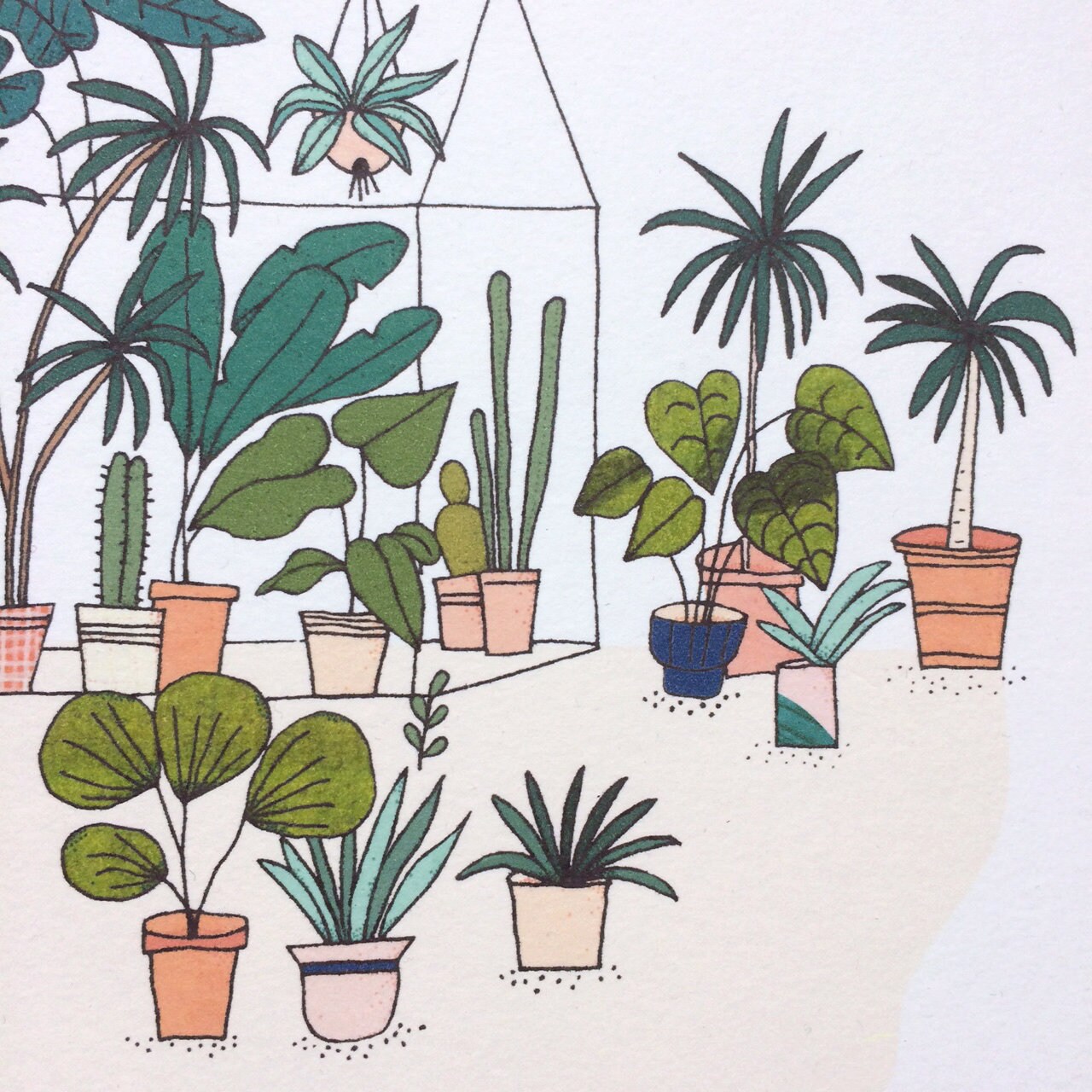 Greenhouse Poster A4 Illustration Cactus and Plants | Etsy