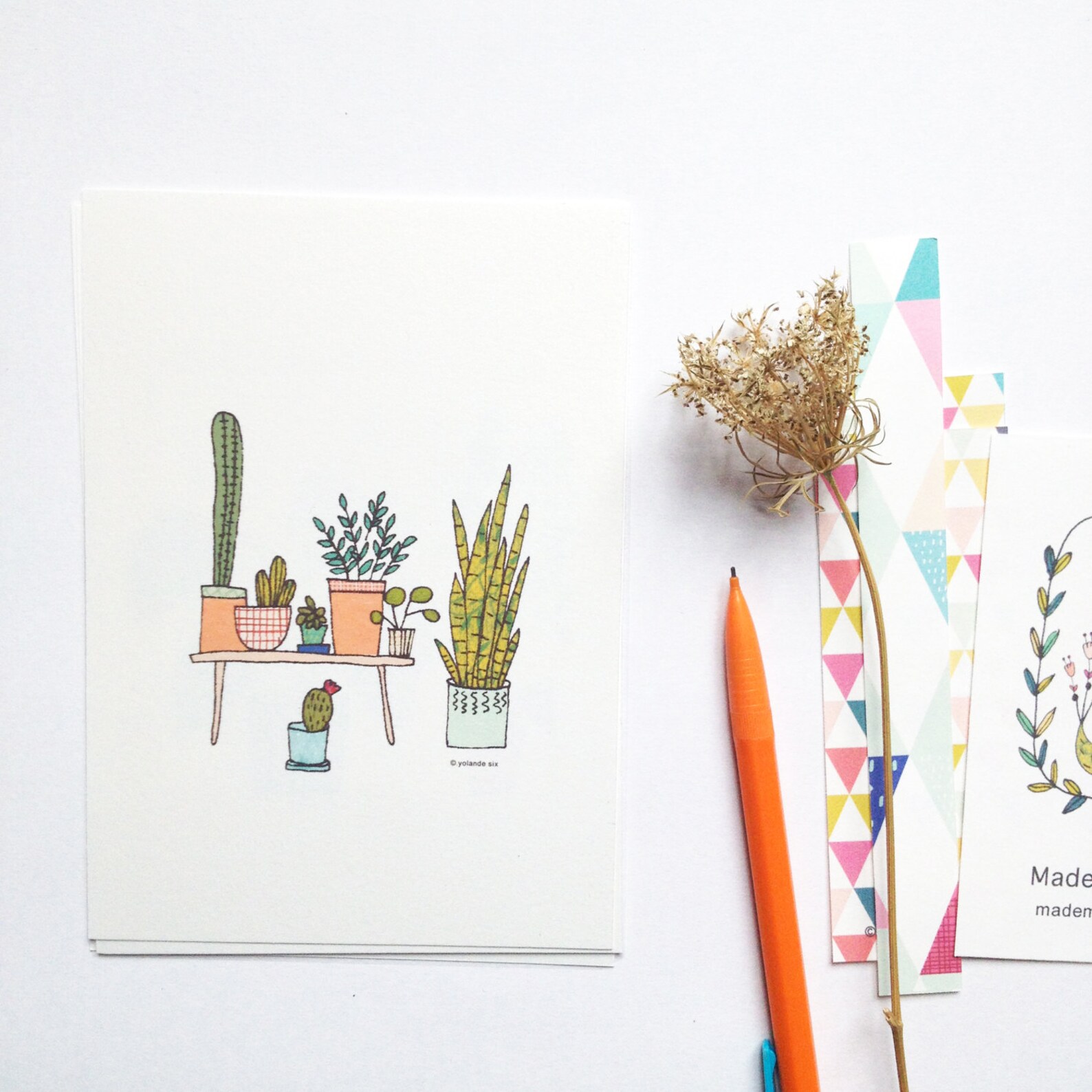 Plants Cards Set Cactus Monstera Illustrations Simple Cards - Etsy