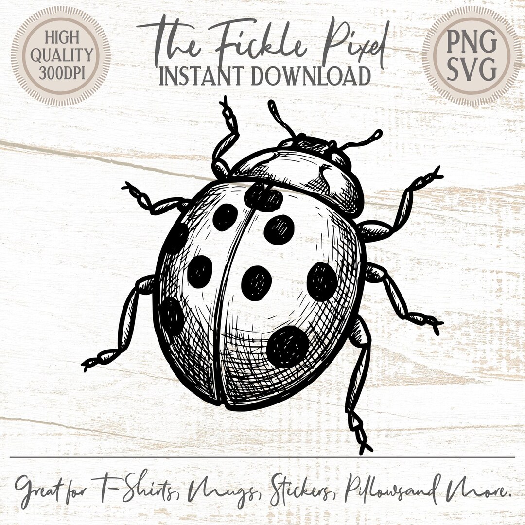 Cute Ladybug SVG PNG Clipart | Hand Drawn Bug Art | Spring Nature ...