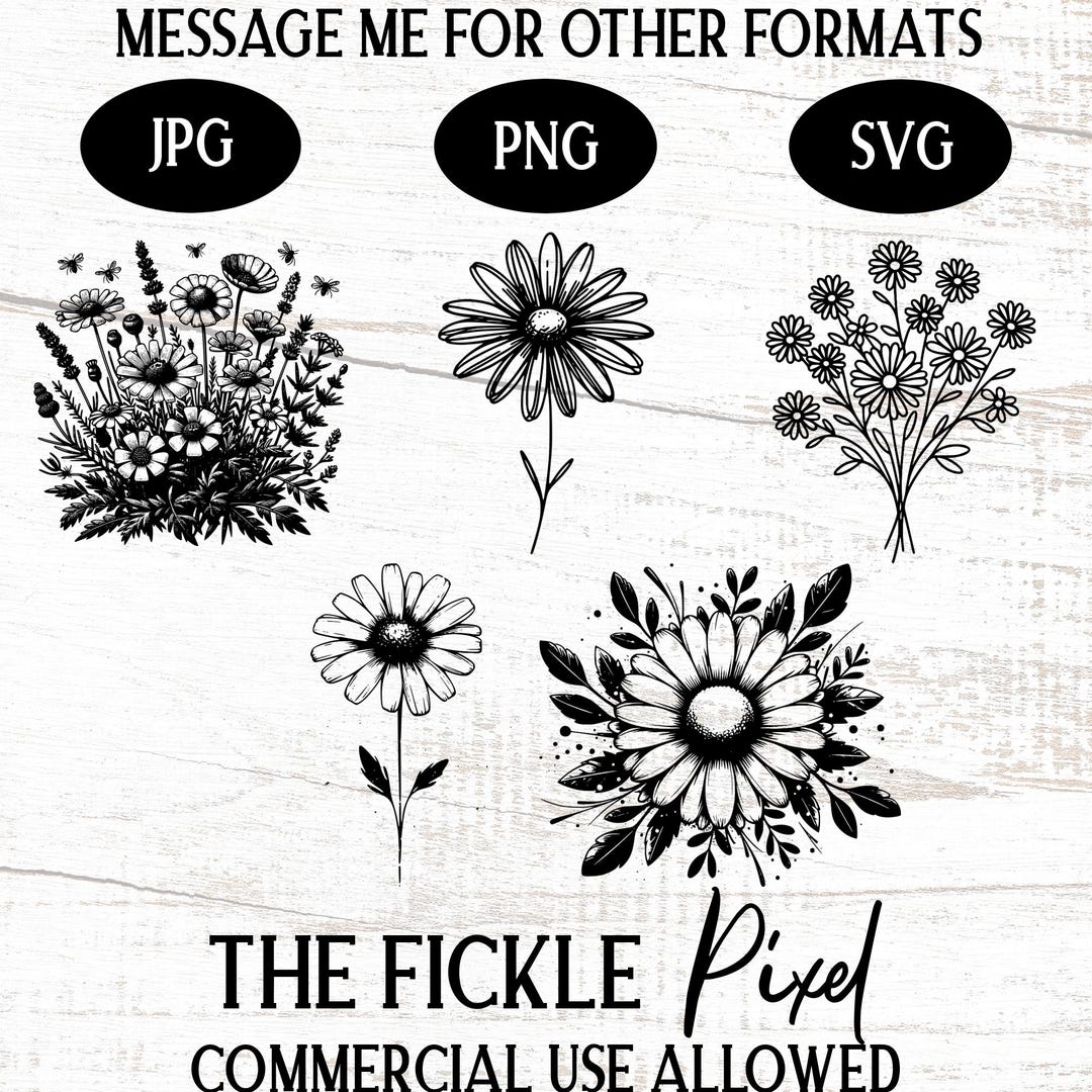 Daisy Floral Line Art SVG PNG Bundle, Daisy Botanical, Clipart, Spring ...