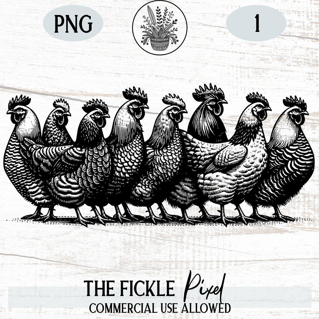 Farmhouse Chickens in Row PNG | Vintage Hen Clipart for Farm Decor ...