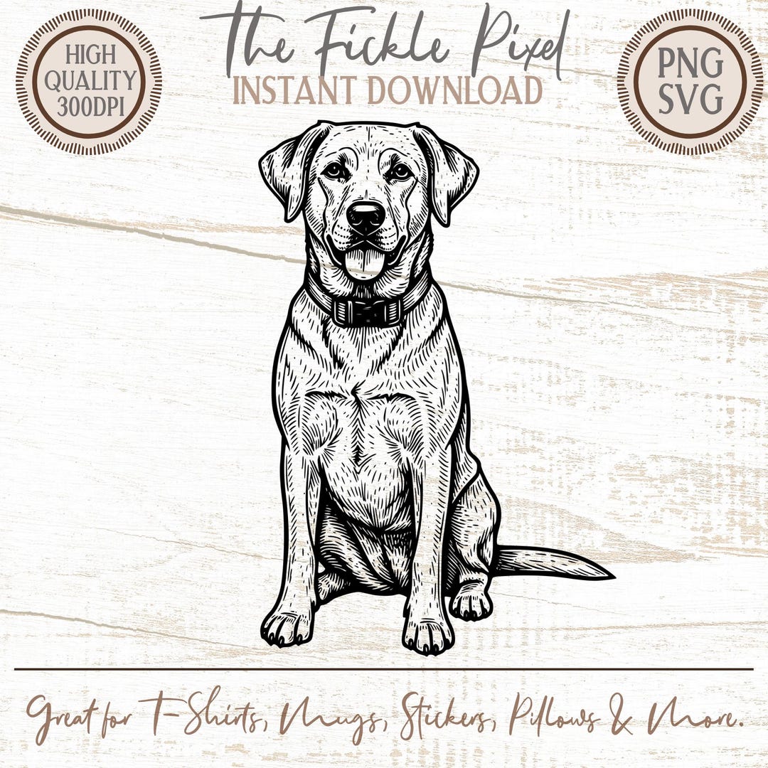 Labrador Dog Woodcut Clipart | Loyal Lab Sitting Graphic (PNG SVG ...