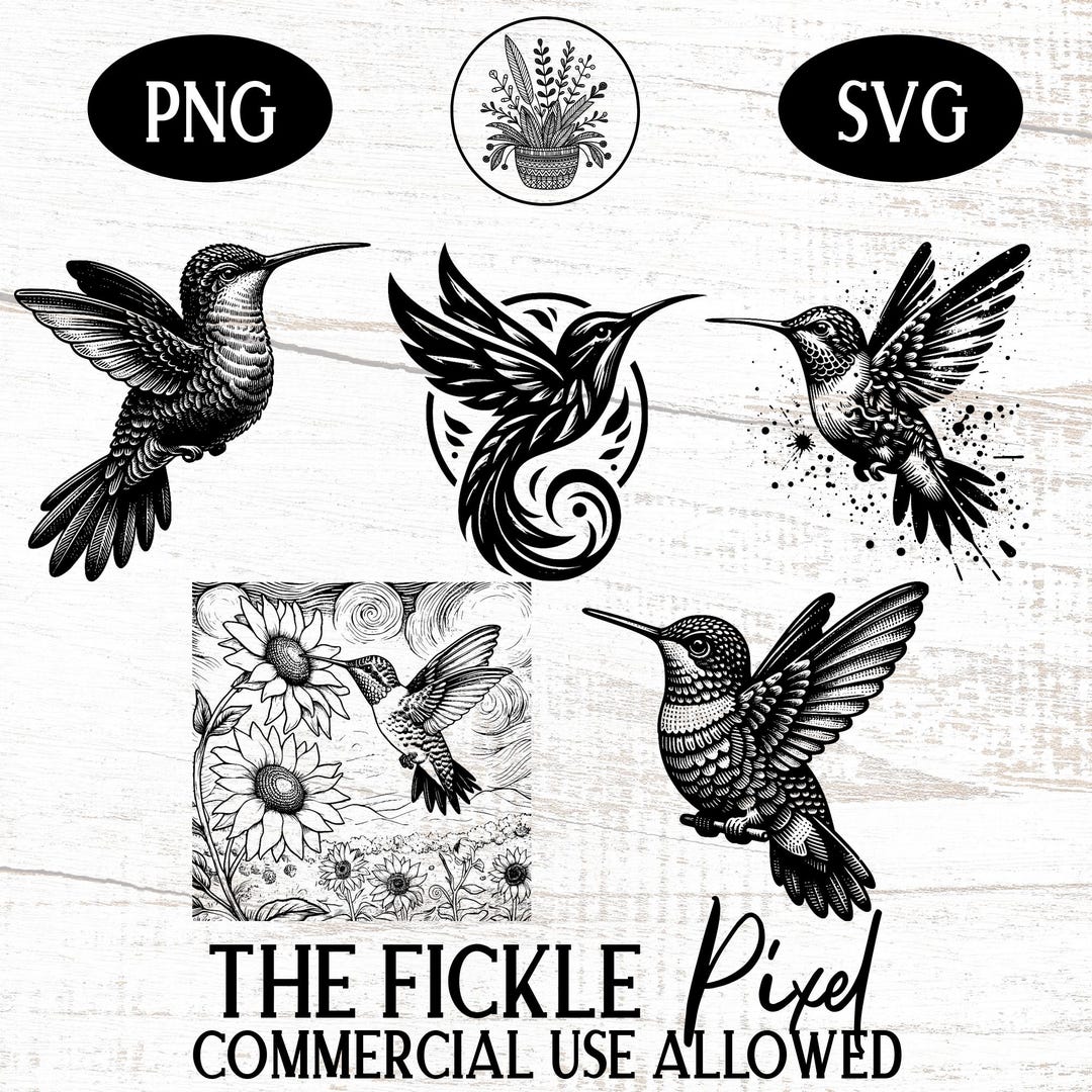 Hummingbird SVG Png Graphics Set, Hummingbird Cricut, Bird Clip Art ...