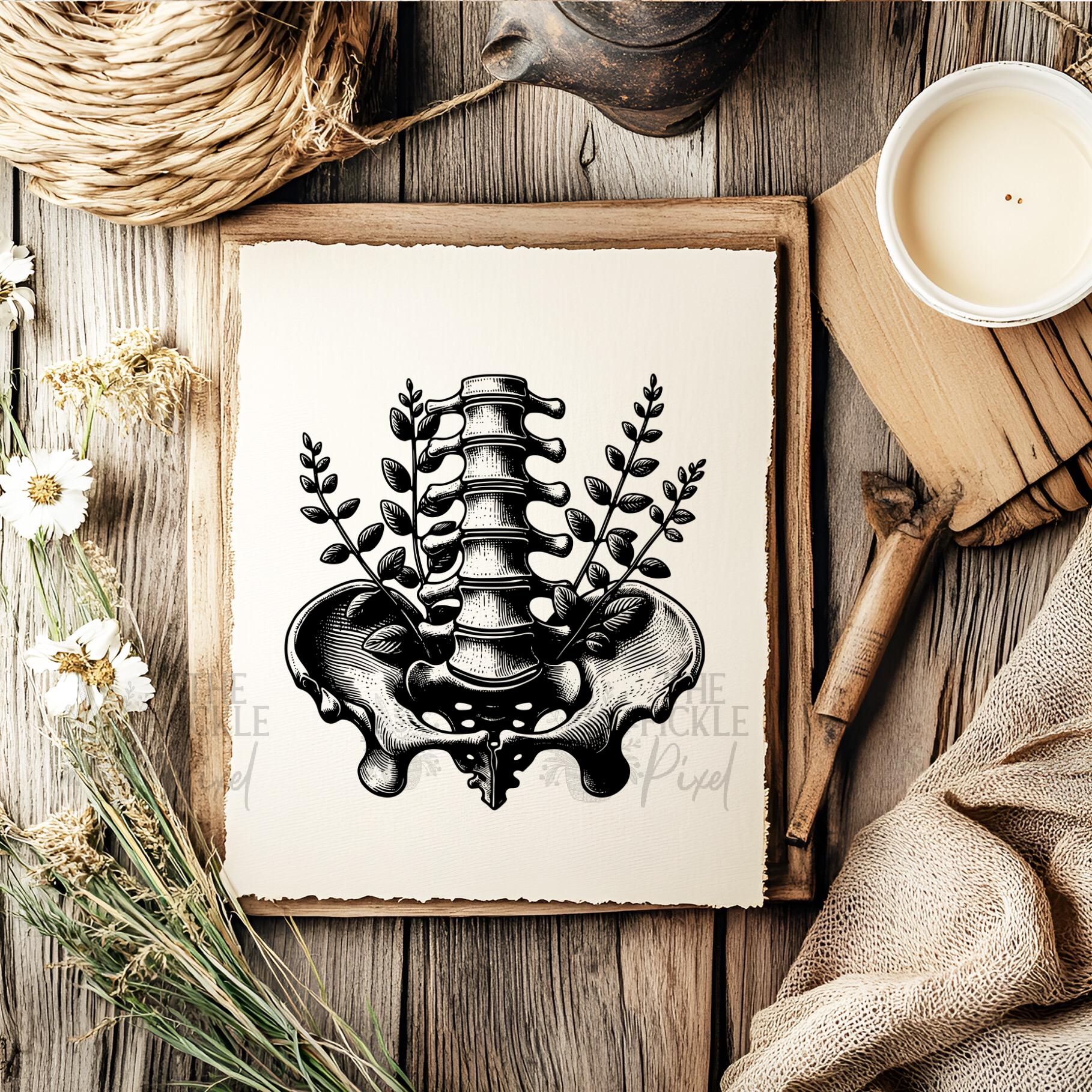 Floral Spine Svg, Backbone Png, Skeleton Svg, Spine With Flowers, Commercial Use, Instant ...