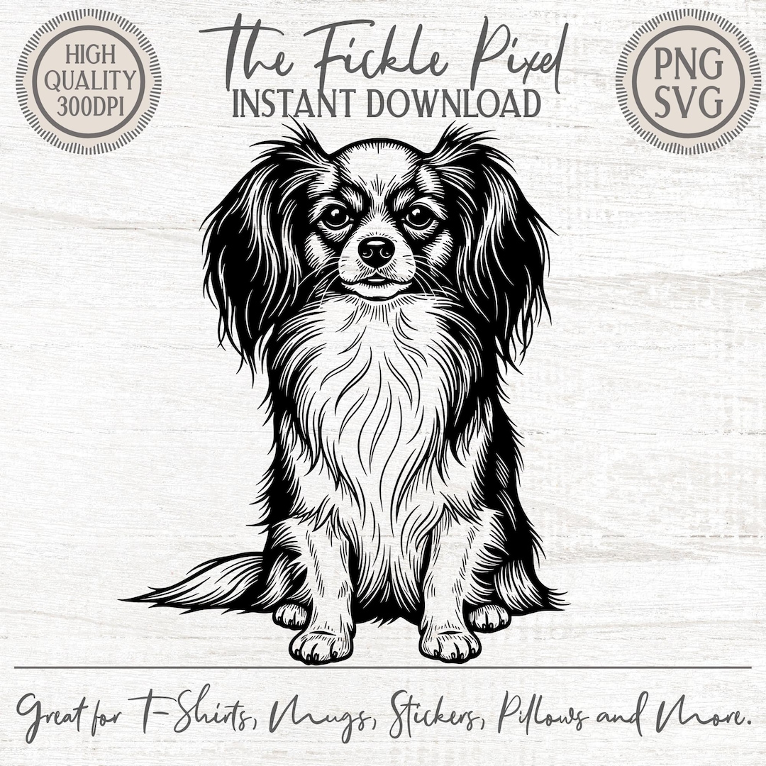 Drop Eared Papillon Sitting Portrait SVG PNG, Phalene Dog Clipart ...