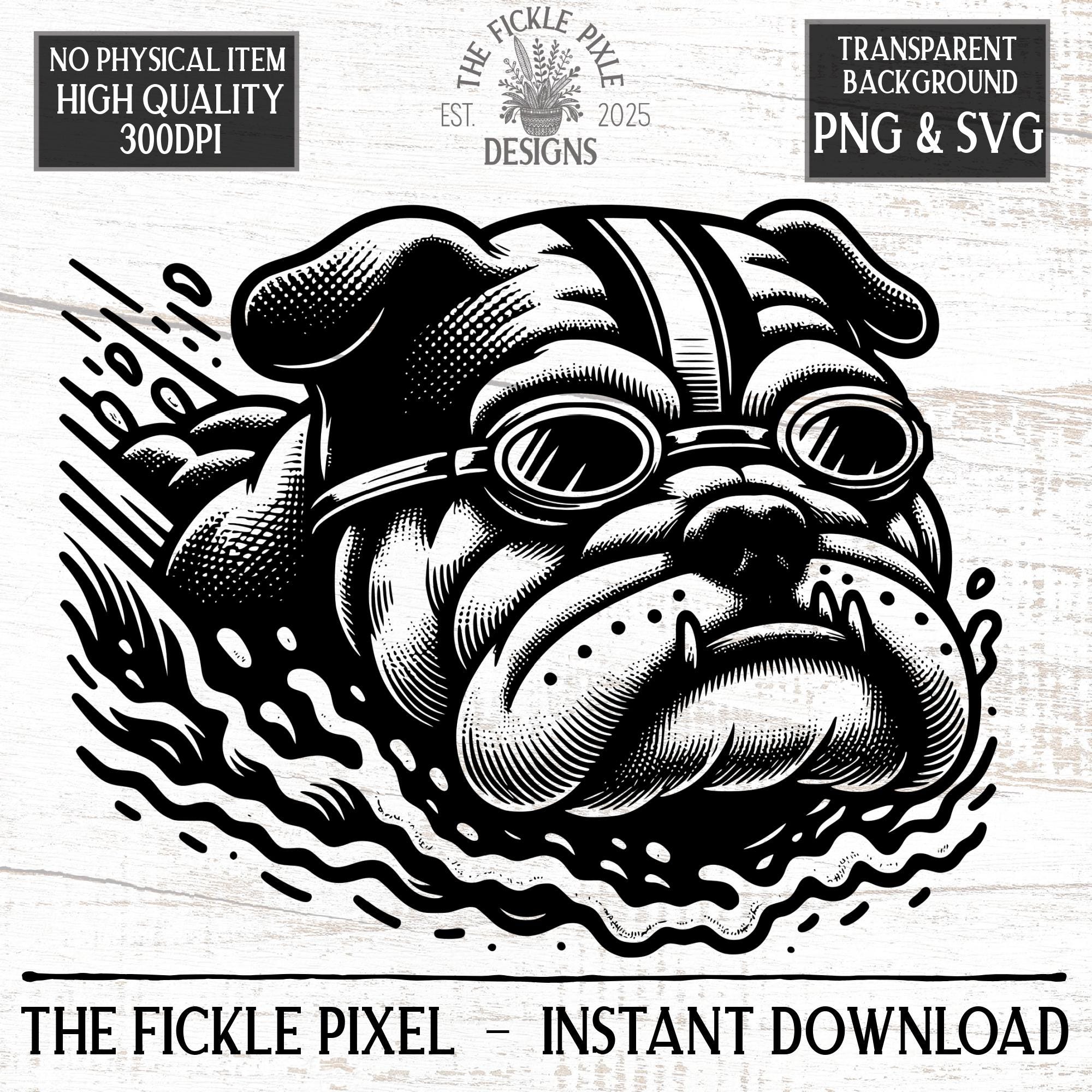English Bulldog Swim Team PNG SVG – Vintage Style Pool Racer Dog With ...
