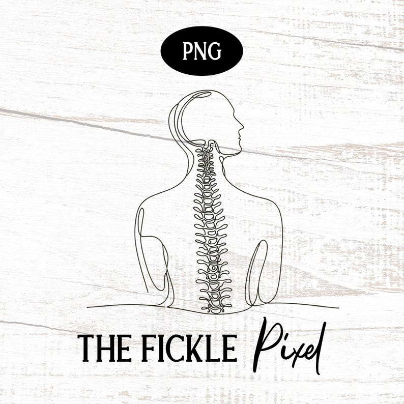 Human Spine Line Art Svg, Human Skeleton Line Art Png, Commercial Use ...