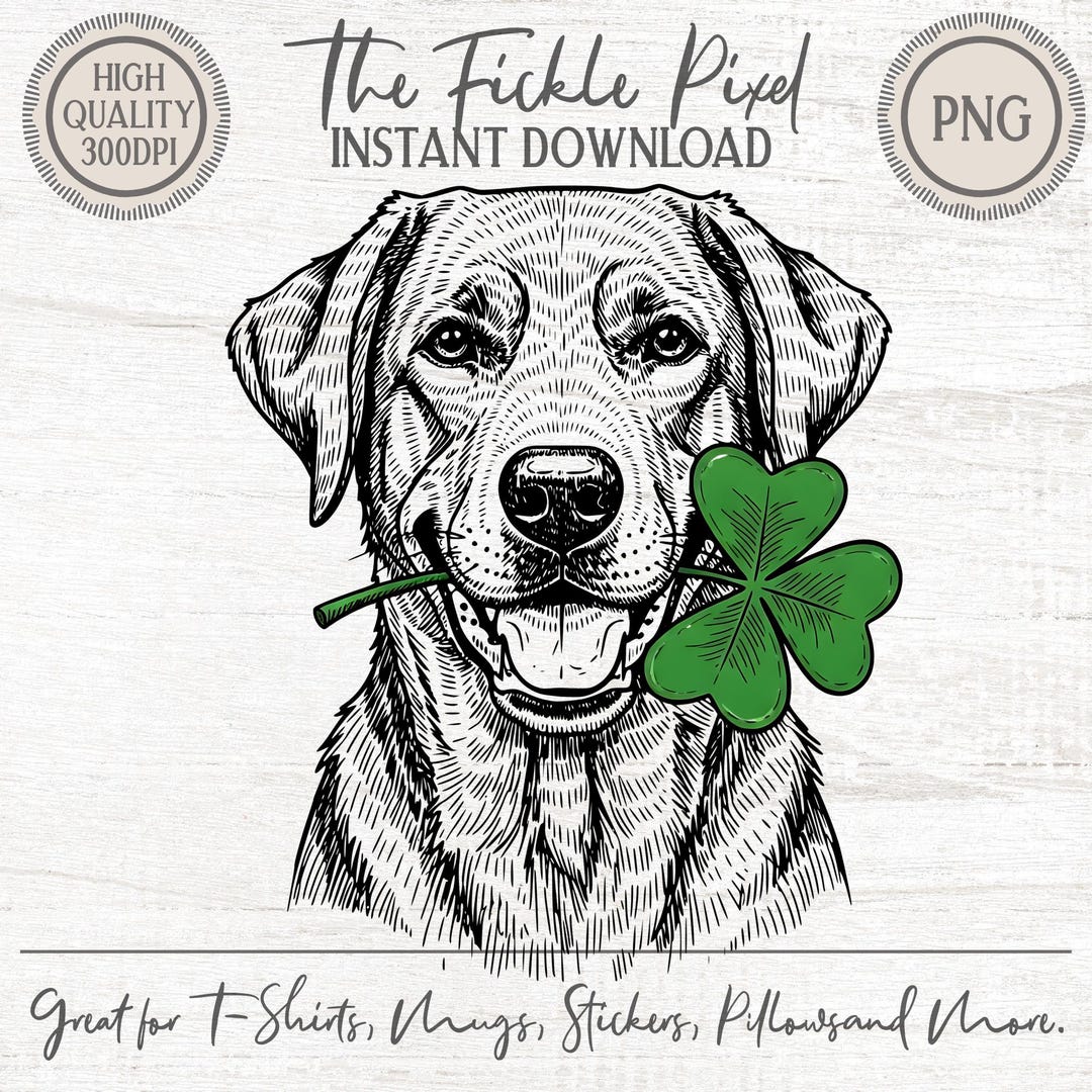 Lucky Lab St Patricks Day PNG, Shamrock Dog Clipart (digital Download ...