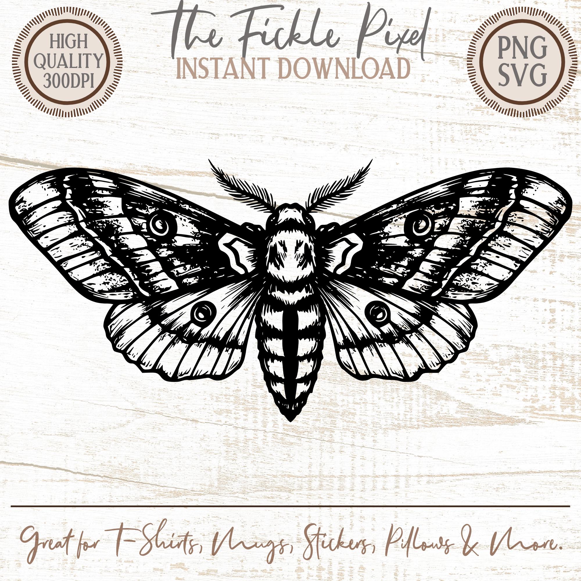 Vintage Moth PNG SVG, Gothic Insect Clipart, Tattoo Style Bug Art ...
