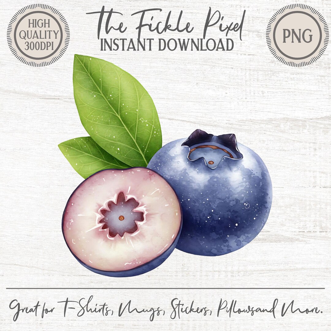 Fresh Blueberry Sketch PNG | Watercolor Fruit Clipart for Crafts ...