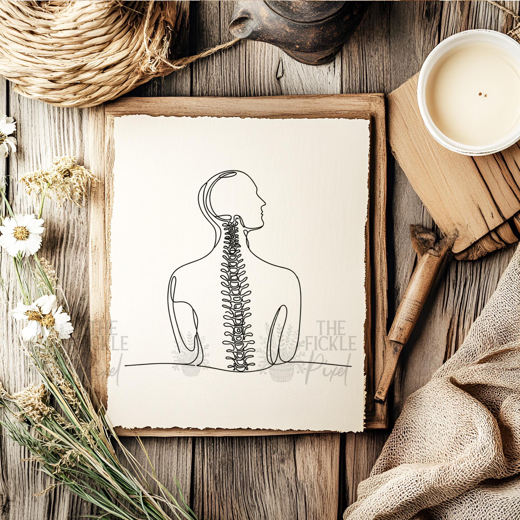 Human Spine Line Art Svg, Human Skeleton Line Art Png, Commercial Use ...