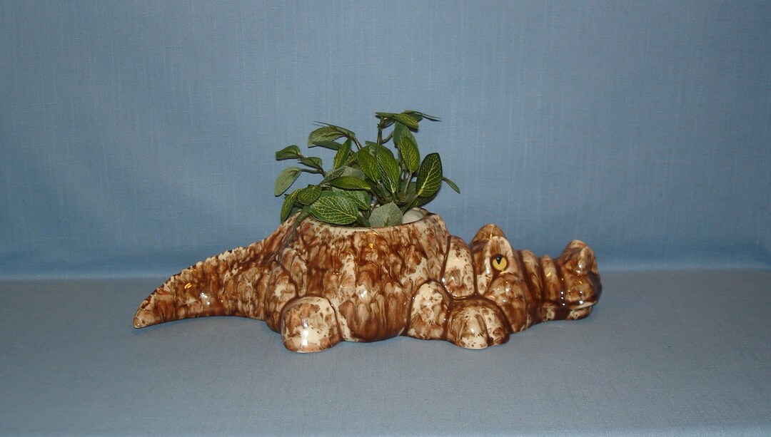 Ceramic Alligator Planter, Succulent Planter, Herb Pot, Cactus Pot ...