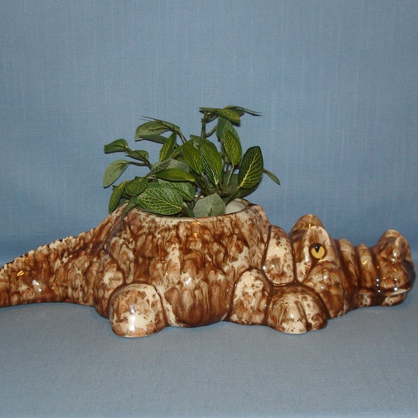 Alligator Planter - Etsy