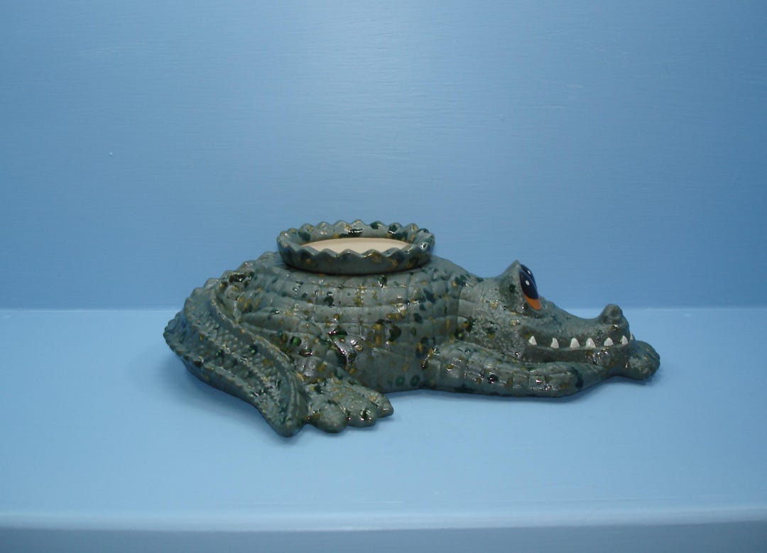 Gator 2 African Violet Pot, Self Watering Planter, Gator Nation ...