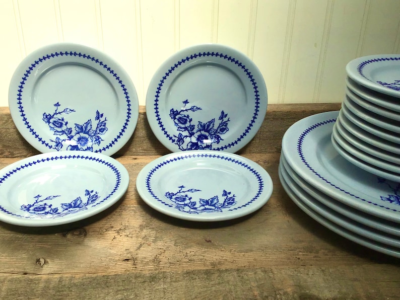 Buffalo China small Blue floral design plates to use as | Etsy