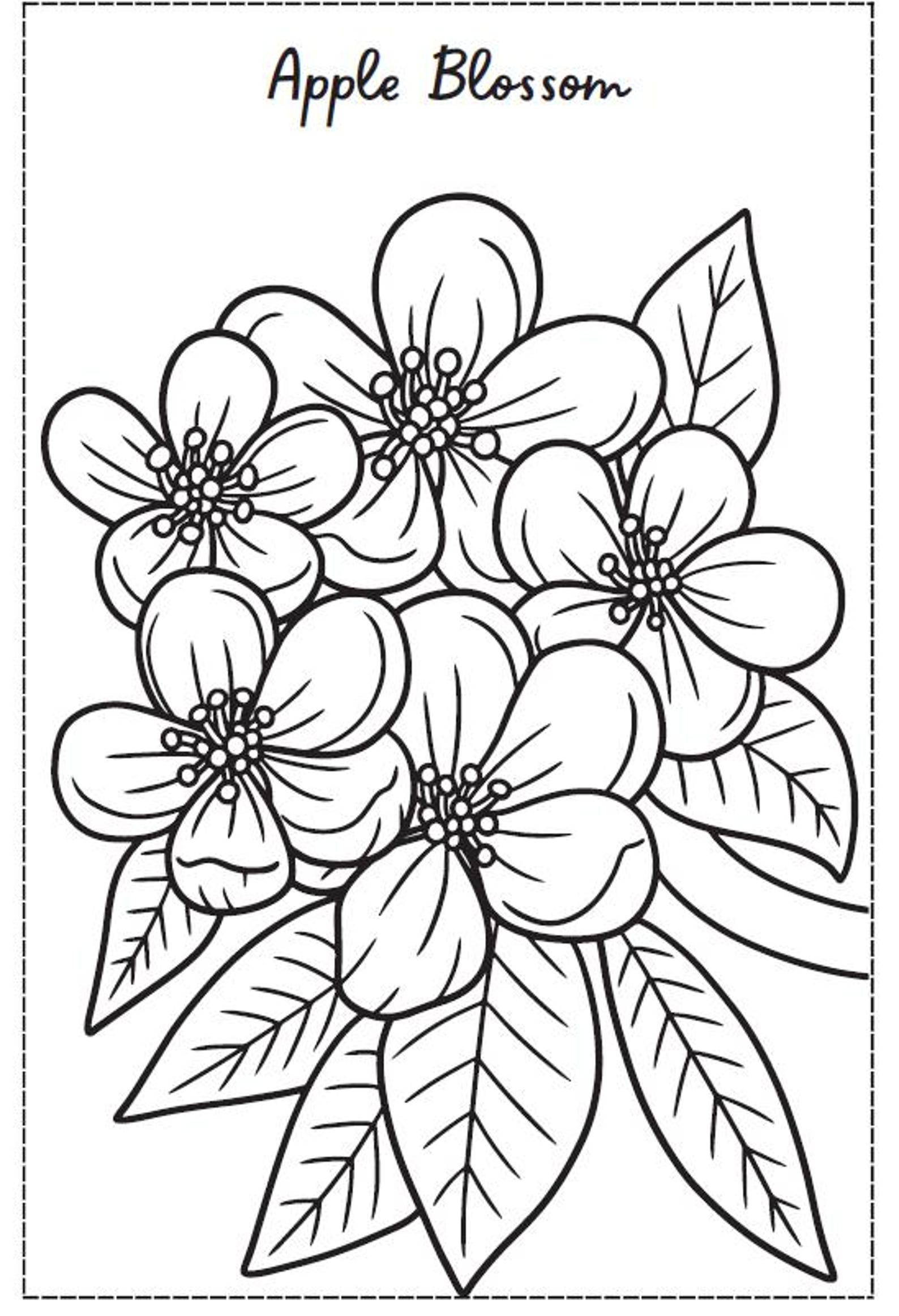 Flower Coloring Book | 45 Printable Floral Pages | Adult, Teens & Kids ...