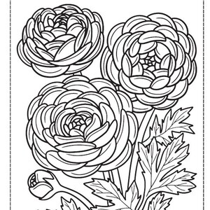 Flower Coloring Book | 45 Printable Floral Pages | Adult, Teens & Kids ...