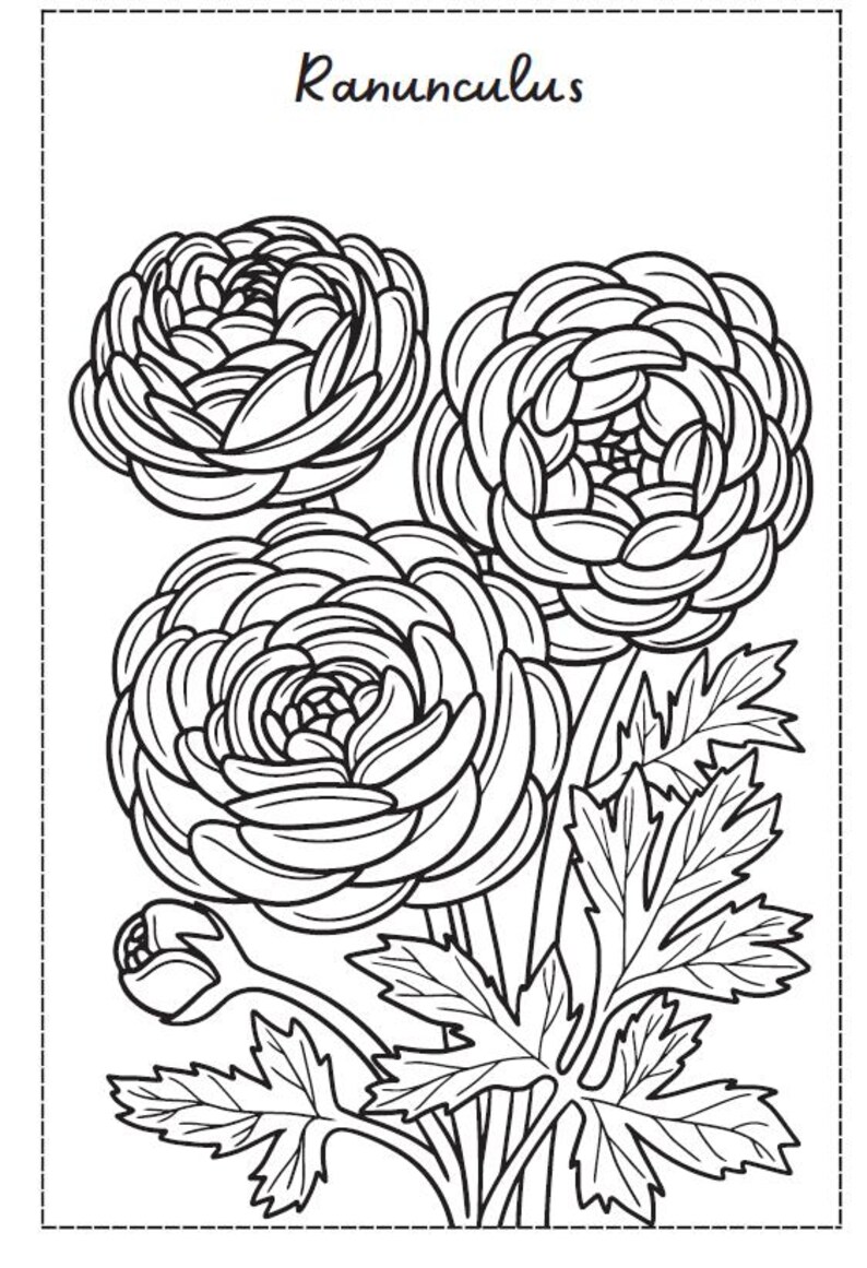 Flower Coloring Book | 45 Printable Floral Pages | Adult, Teens & Kids ...
