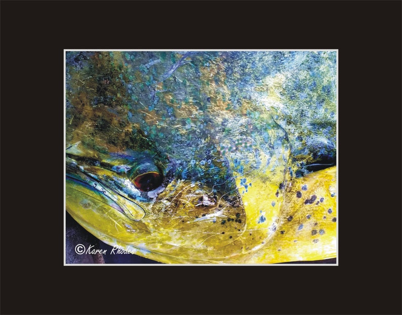 Hatteras Marlin Club Mahi Fish Photographic Print Matted in Black ...