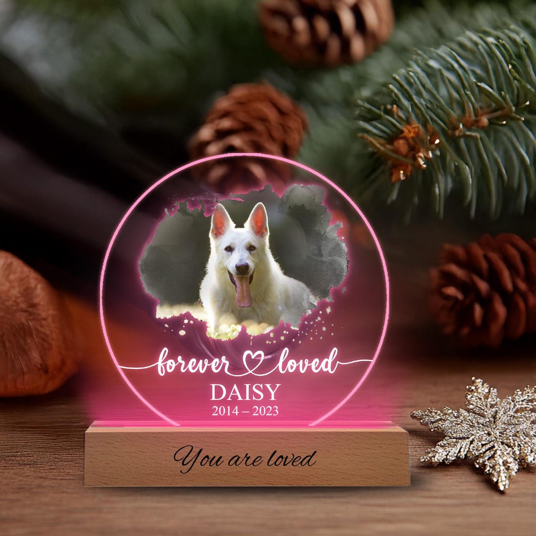 Personalized Pet Photo LED Night Light, Engraved Wooden Base, Dog ...