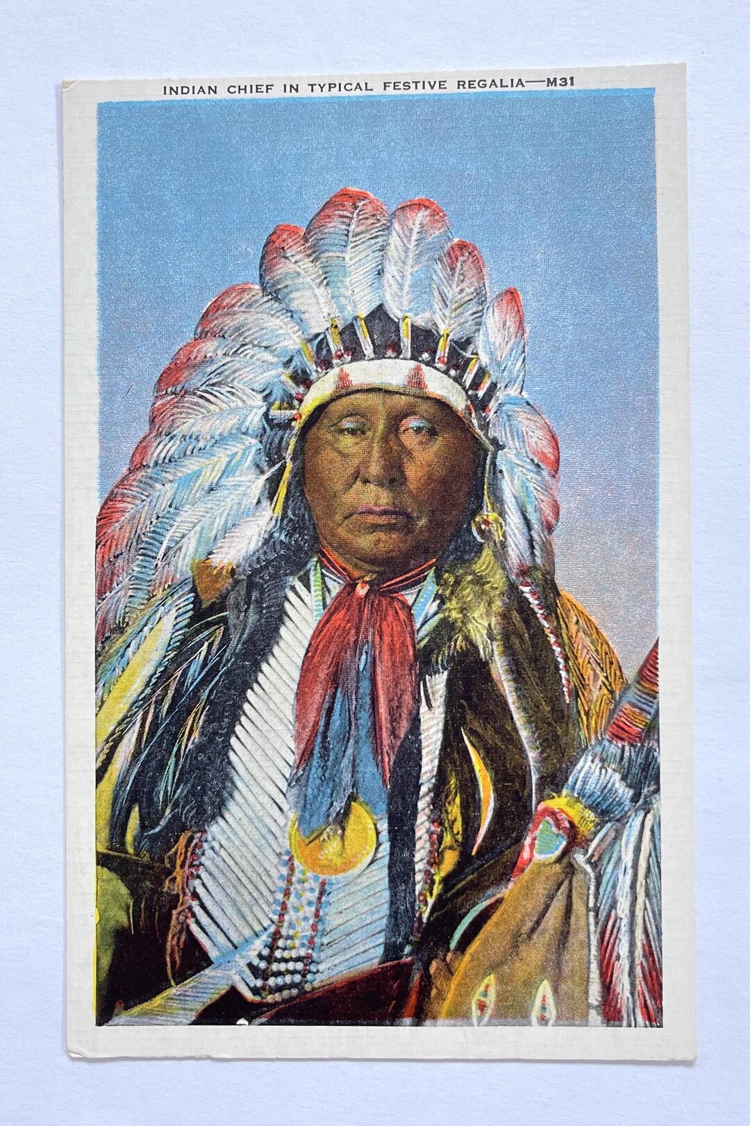 Native American Indian Chief in Typical Festive Regalia Vintage ...
