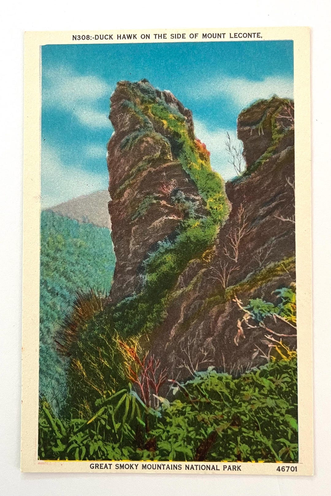 Duck Hawk on the Side of Mount Leconte, Great Smokey Mountains National ...