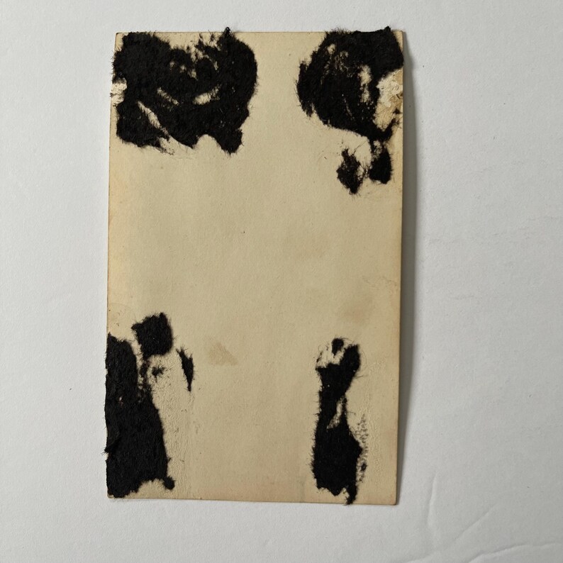 School Chums Late 1920's Young Girls, Boys Photo Photograph Snapshot ...