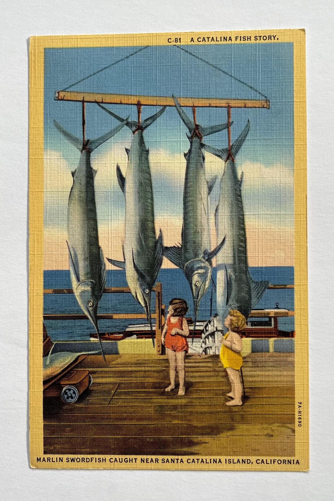 Santa Catalina Island Marlin Swordfish Fishing California CA Vintage ...