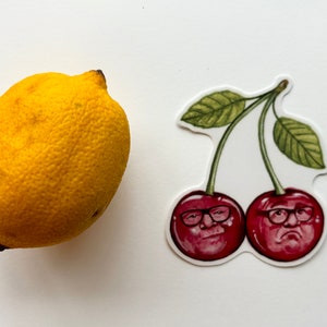 Danny Devito Six Sticker Pack Vinyl Stickers - Etsy