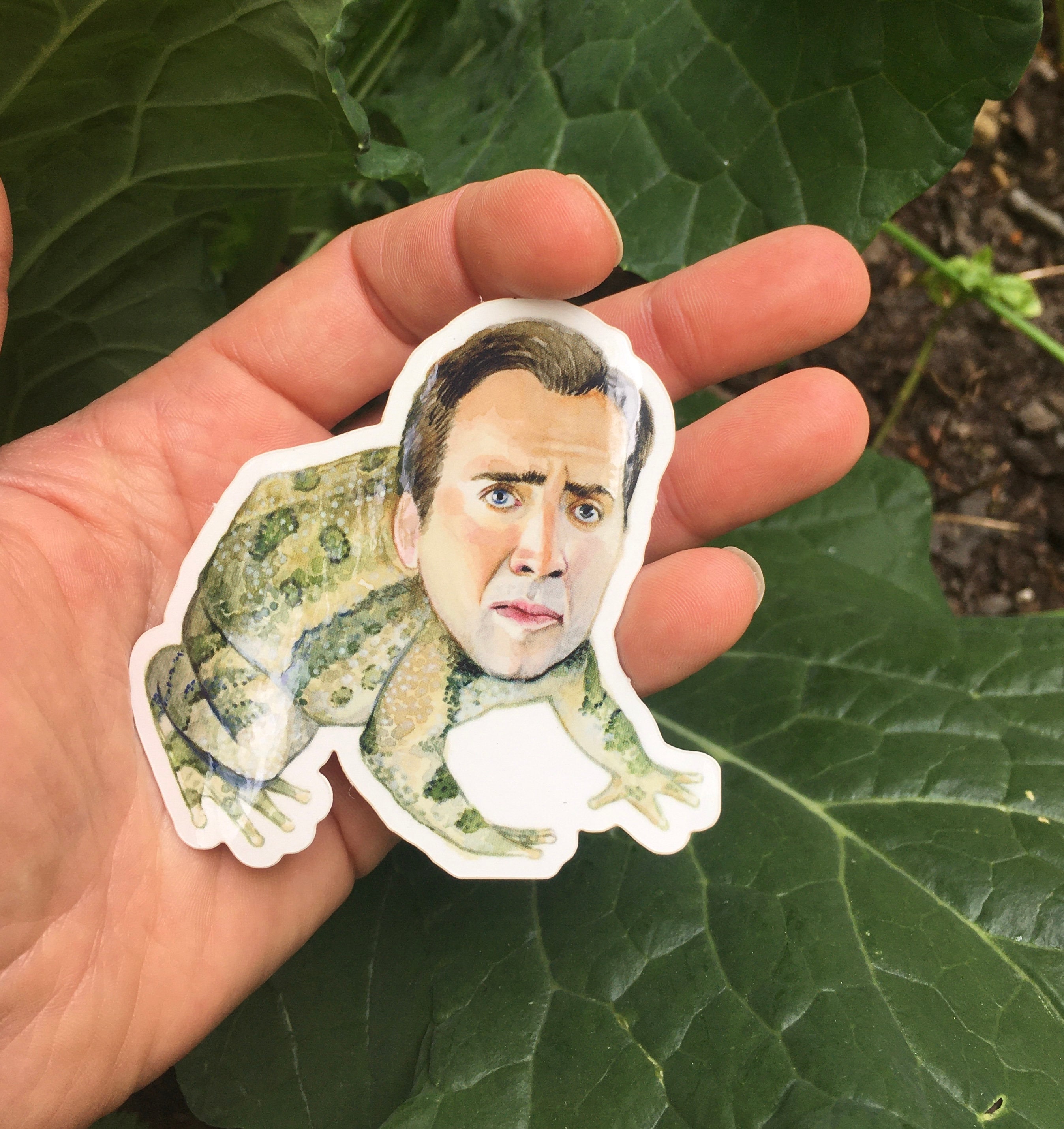 Nicolas Cage Five Sticker Pack Vinyl Stickers | Etsy