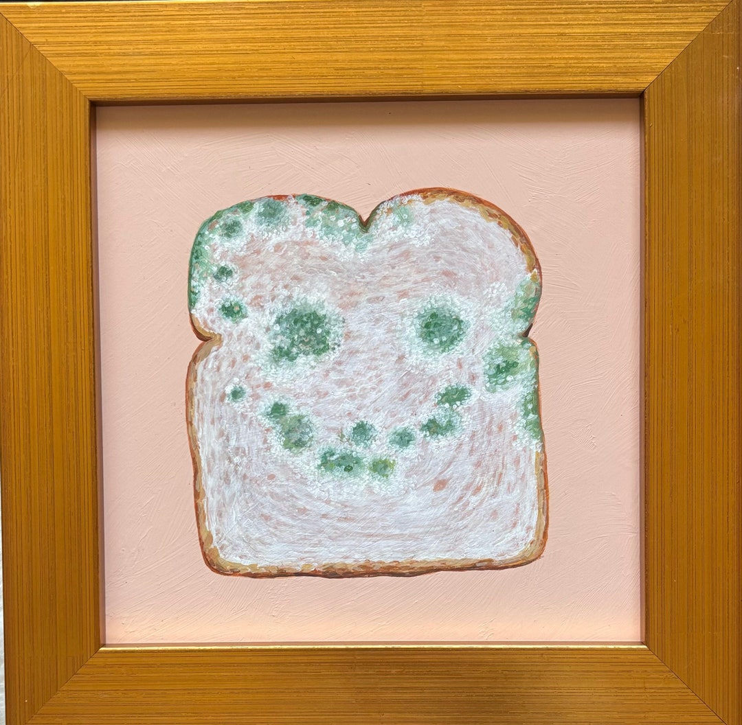 Happy Moldy Bread Original Framed Acrylic Painting - Etsy