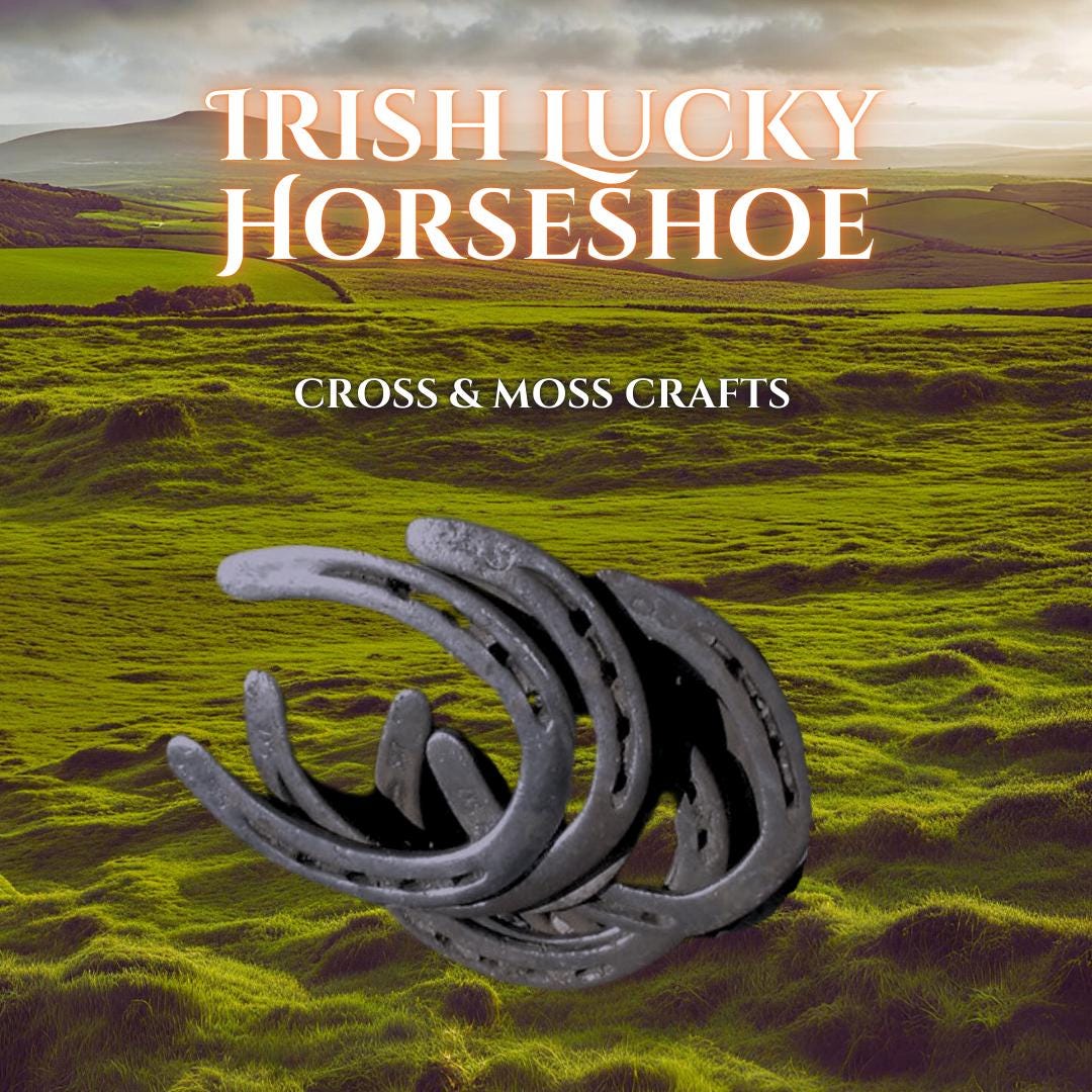 Lucky Irish Horseshoe | Genuine Rustic Décor | Good Luck / Home ...